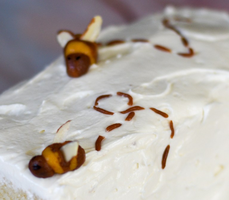 Honey and Cocoa Battenberg Cake – Very Nearly Teatime